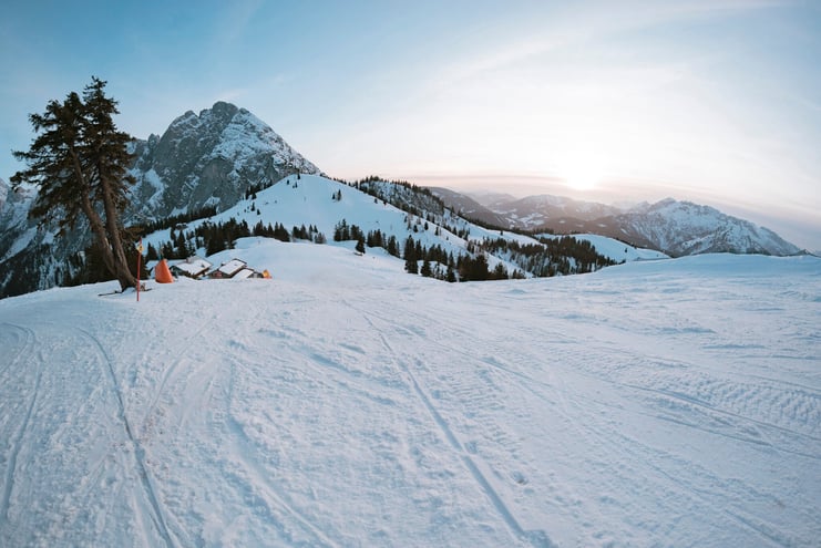 Narty Austria, Snowboard Austria - Wyjazdy 2024/2025 - SnowShow